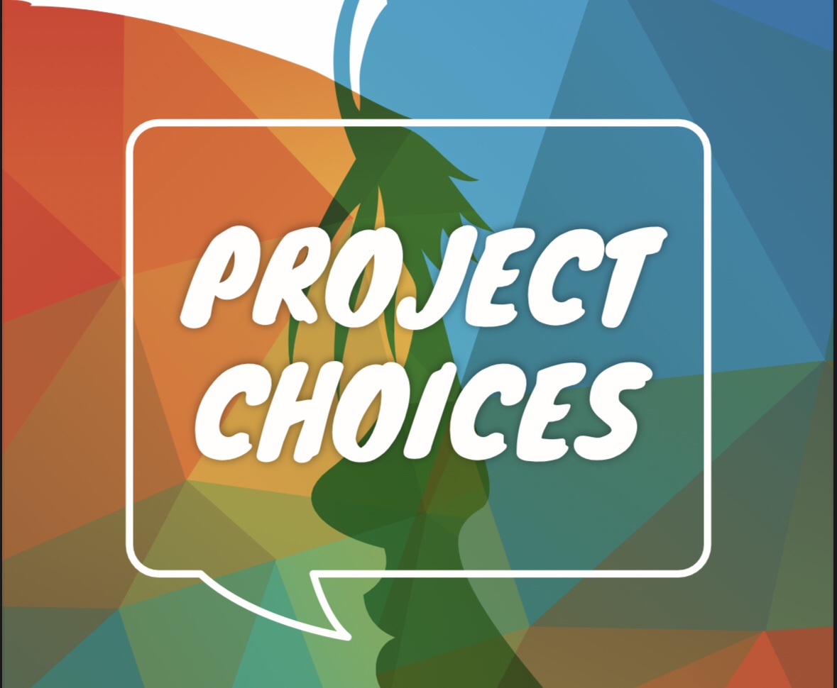 Project Choices - APIN - Adolescent Parent Interagency Network