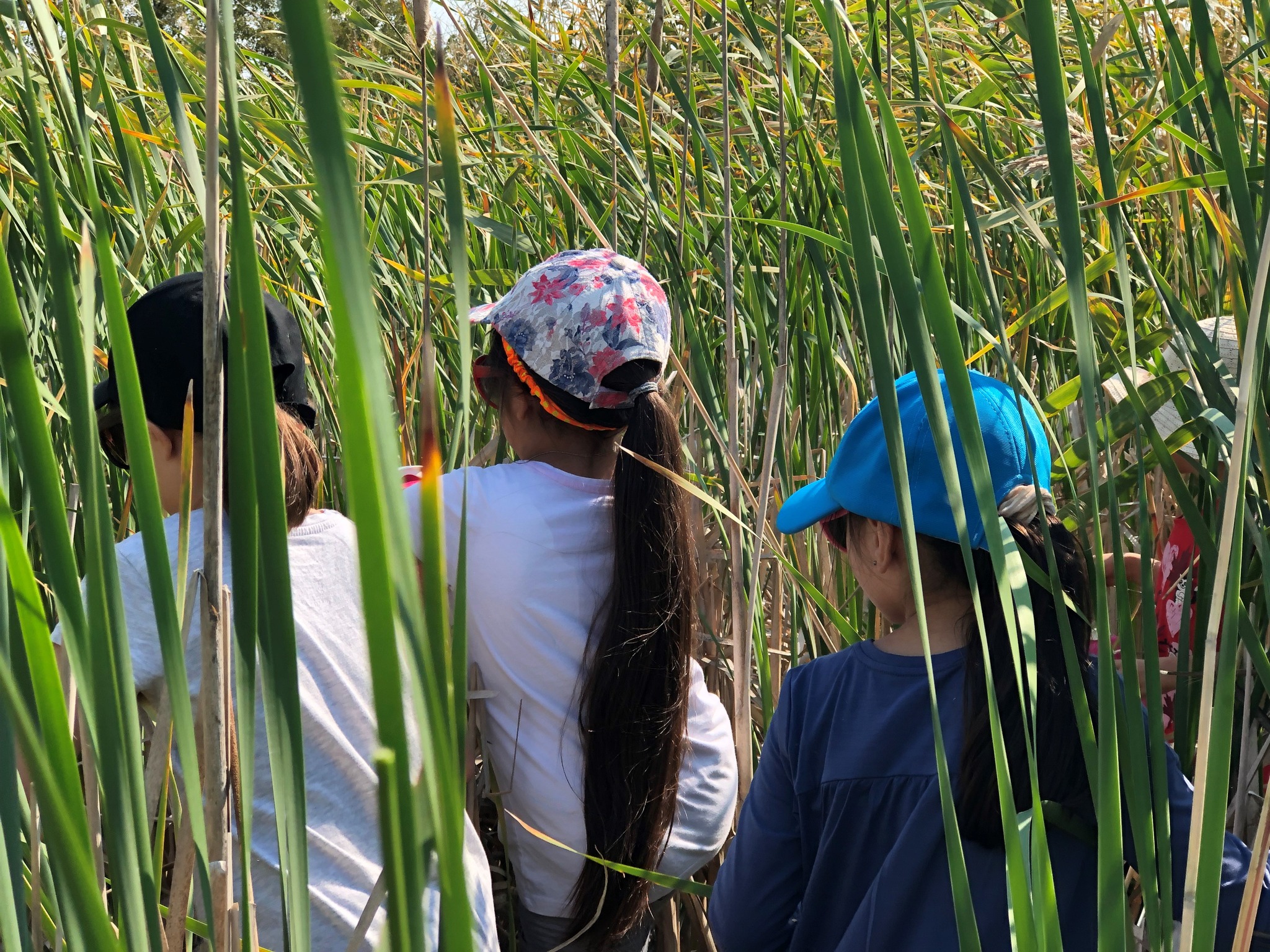 Acorn Family Place - APIN - Adolescent Parent Interagency Network